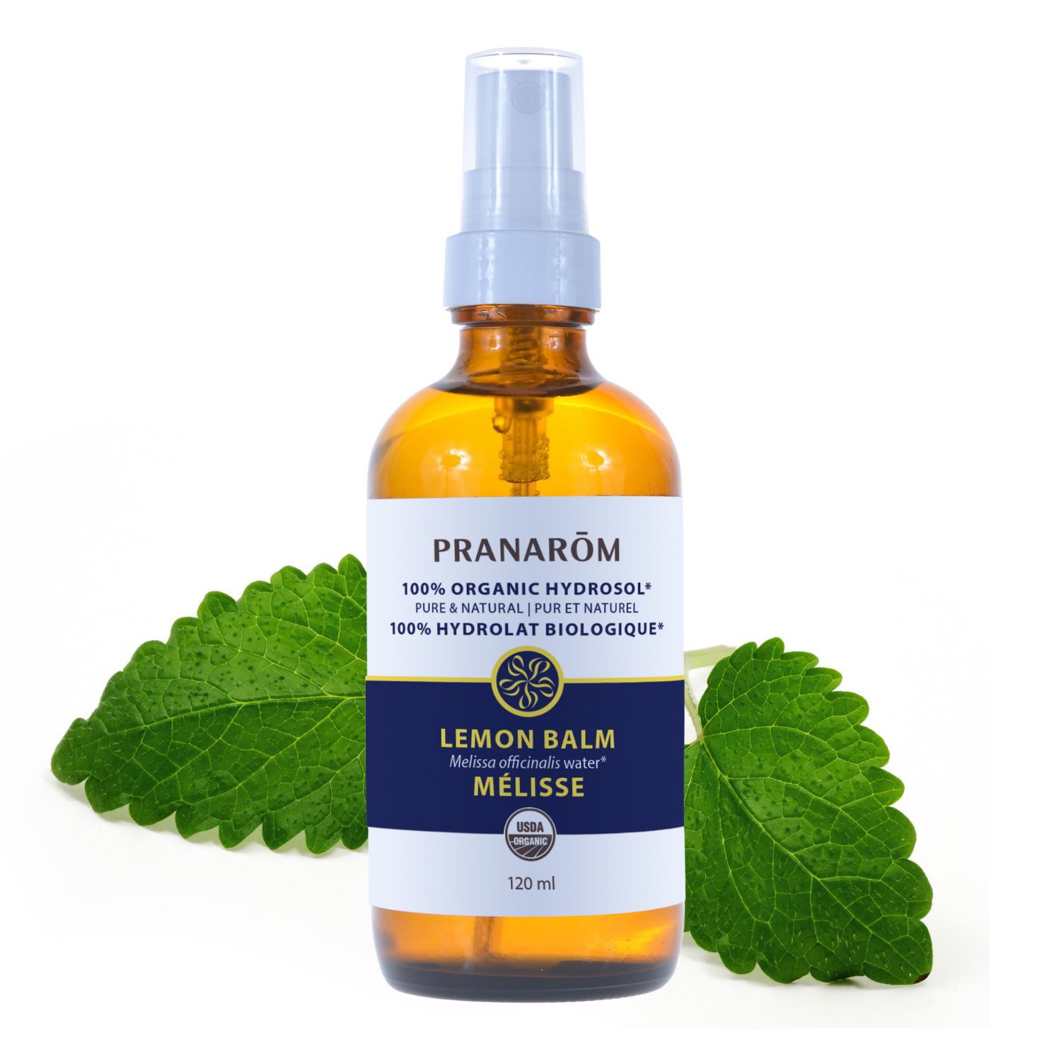 Lemon Balm Hydrosol | P-HMOF – Bio Lonreco